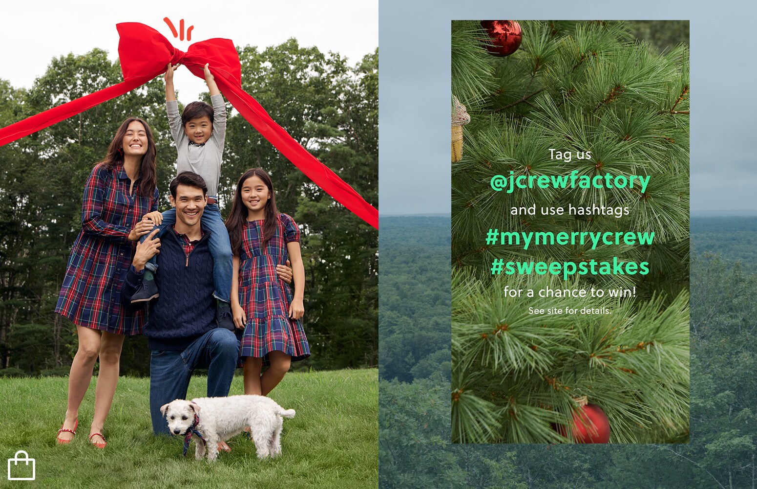 Family Plaid | J.Crew Factory