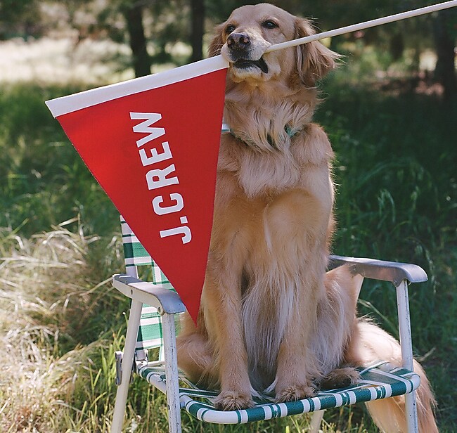 T-shirts & Polos For Men | J.Crew