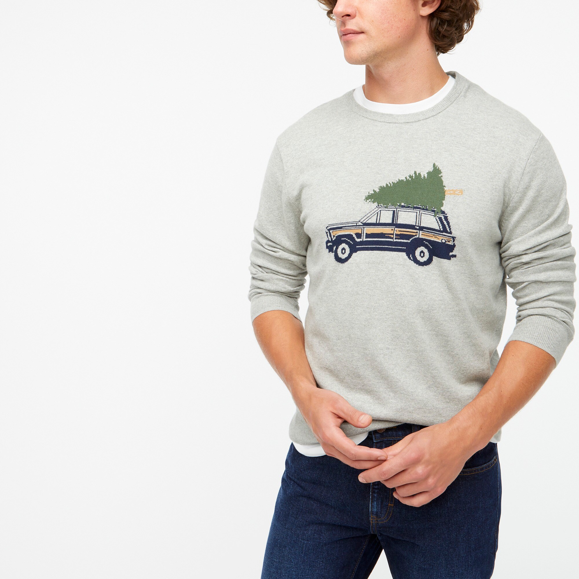 Factory: Cotton Truck And Tree Sweater For Men