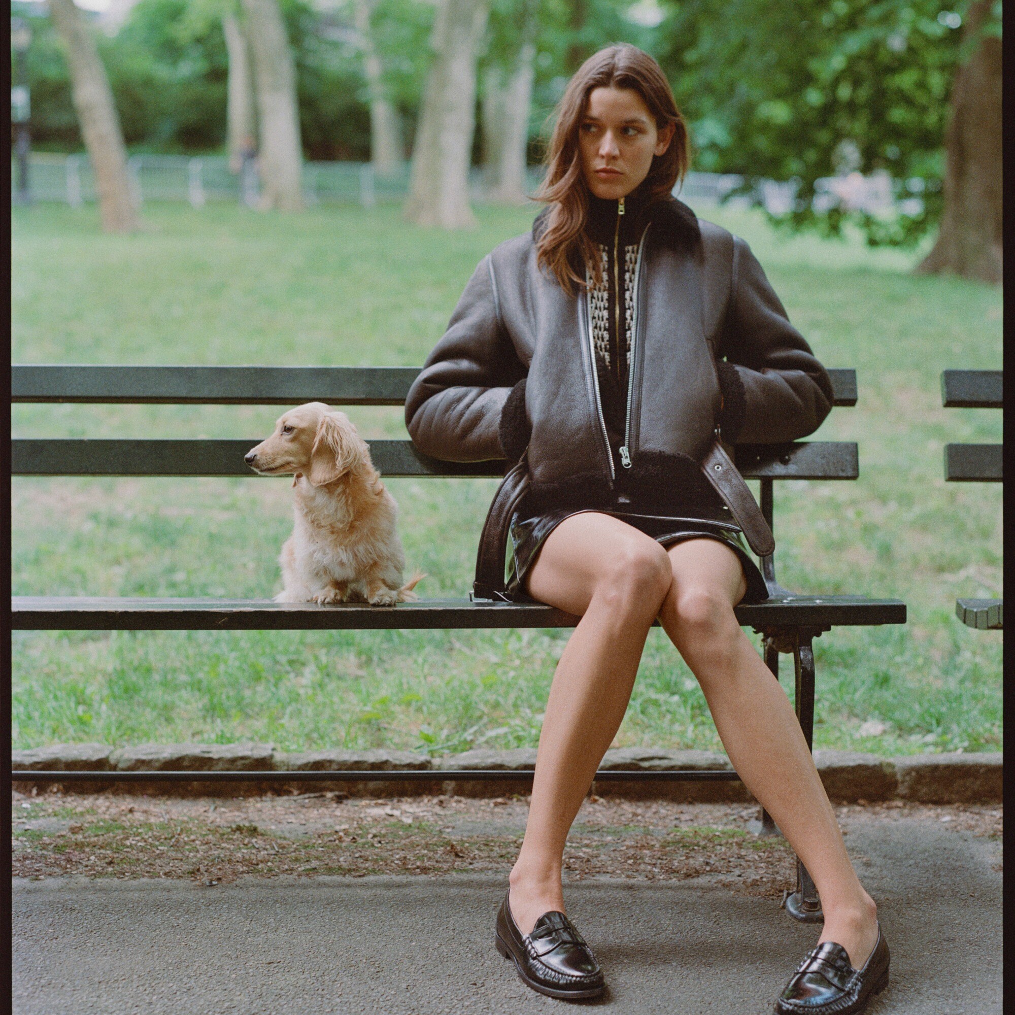 J.Crew: Collection Shearling Leather Jacket For Women