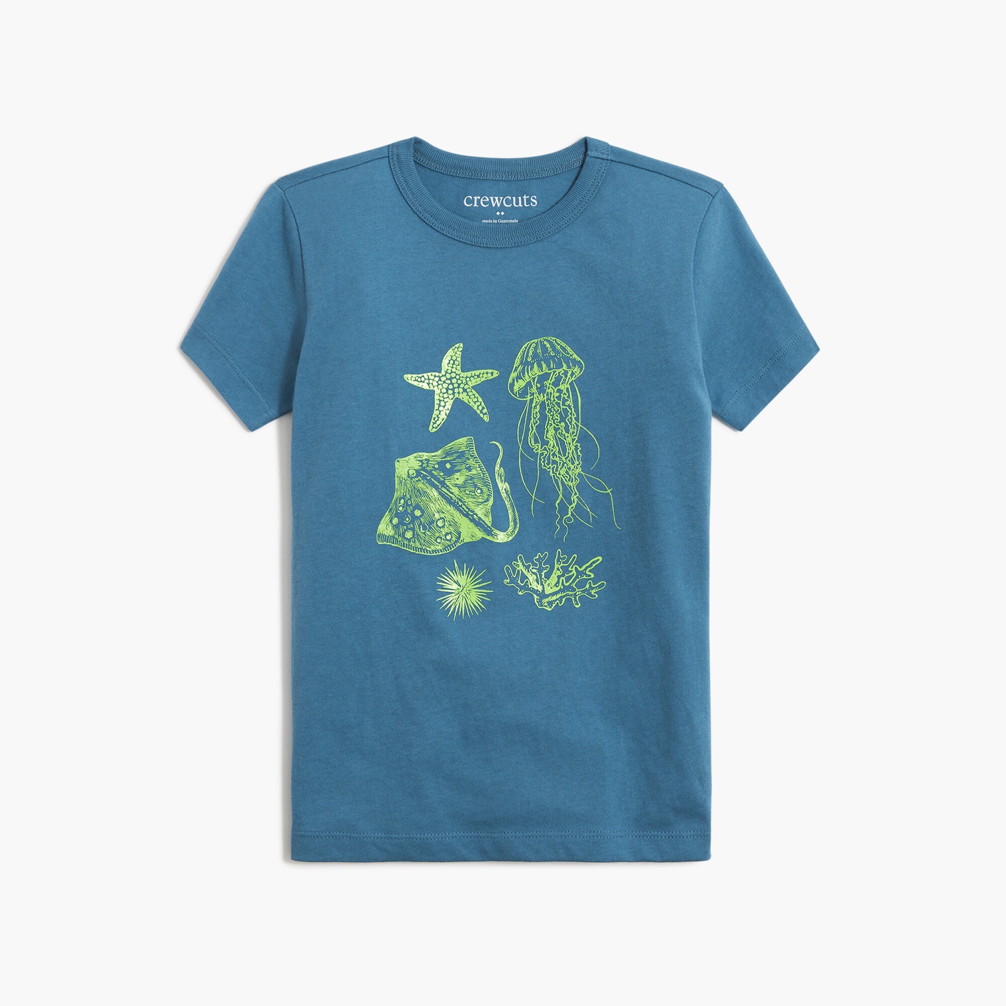 Boys’ Graphic Tees | Boys’ Graphic T-Shirts | J.Crew Factory | J.Crew ...