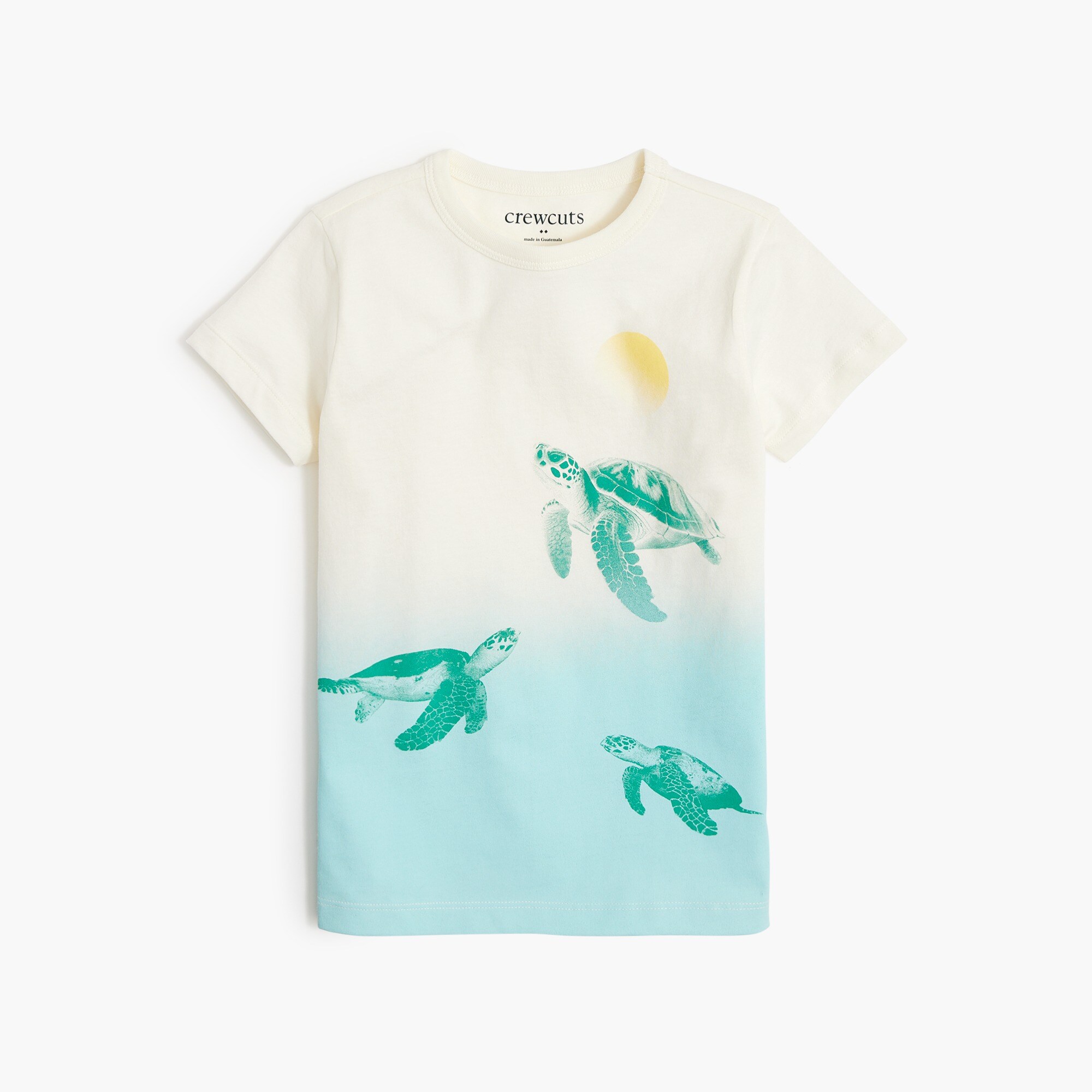 Factory: Boys' Turtle Graphic Tee For Boys