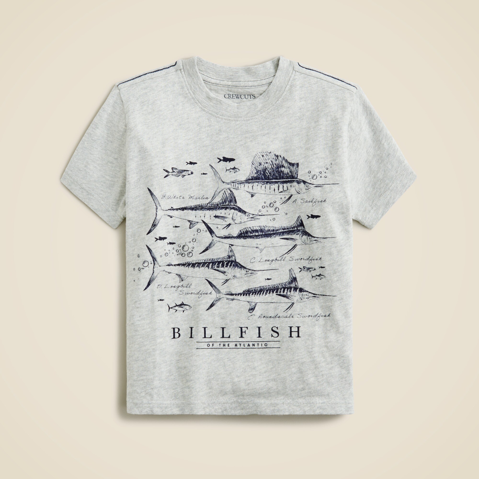 J.Crew: Kids' Billfish Graphic T-shirt For Boys